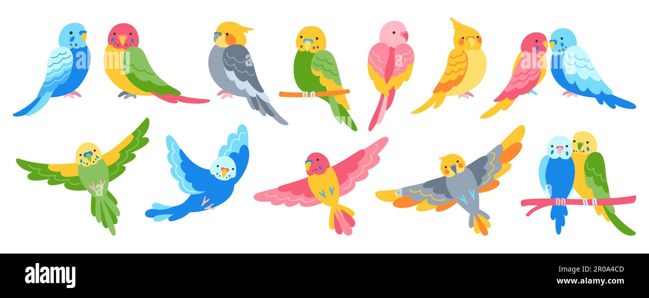 Parrot tropical cartoon set. Summer bright exotic sitting and flying ...