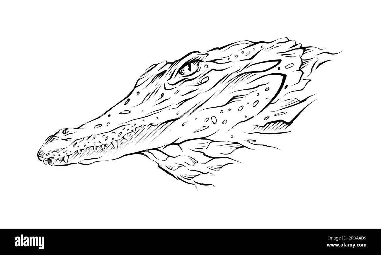 Crocodile fun vector cartoon Black and White Stock Photos & Images - Alamy