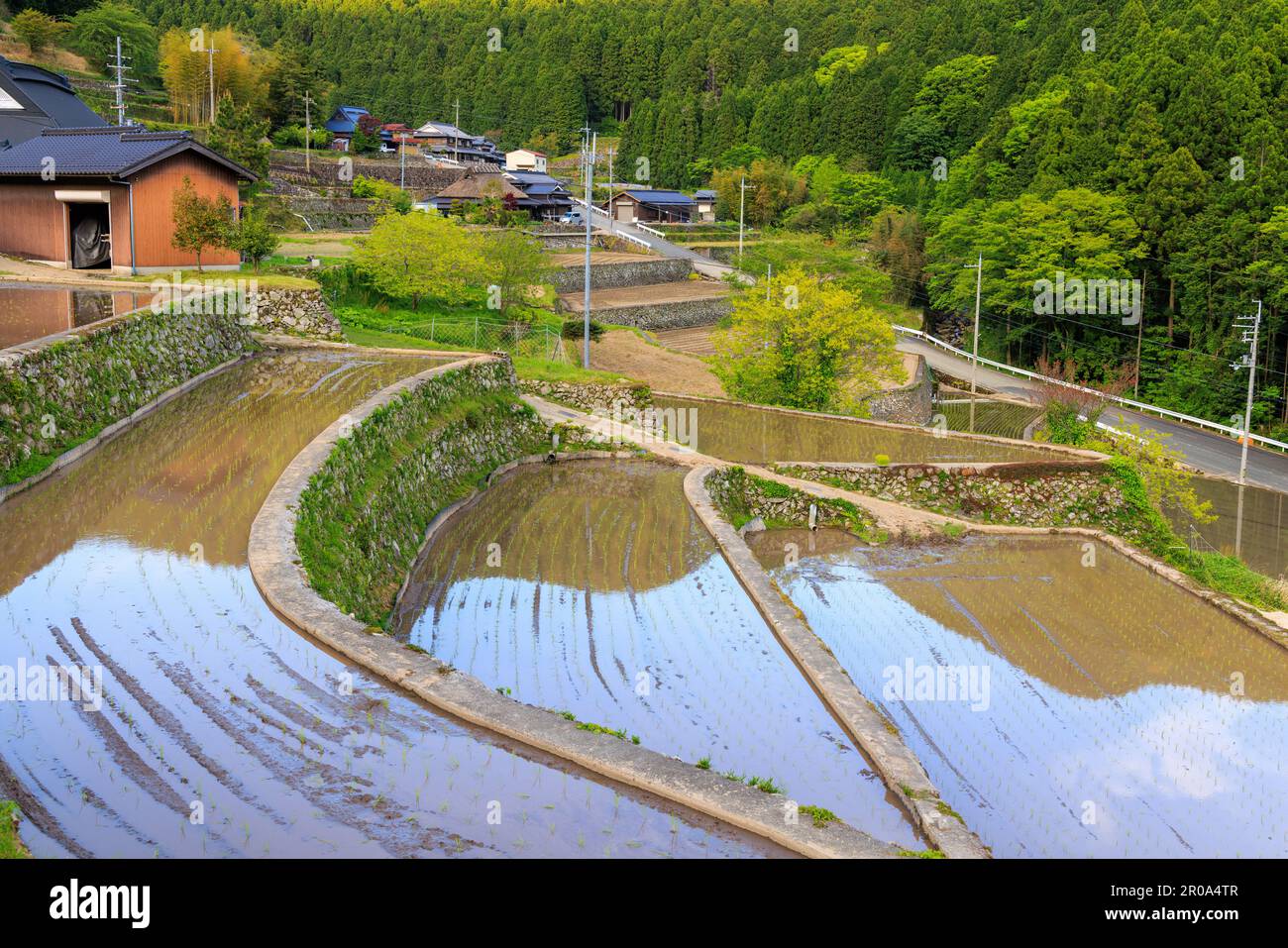 Flooded terraced rice fields in traditional Japanese village in ...