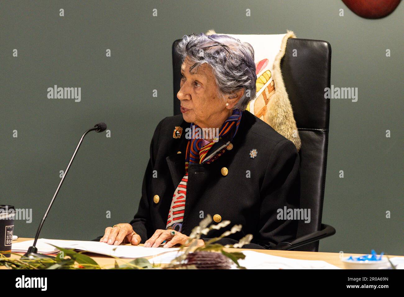 Chair Professor Eleanor Bourke speaks during a public hearing of the ...