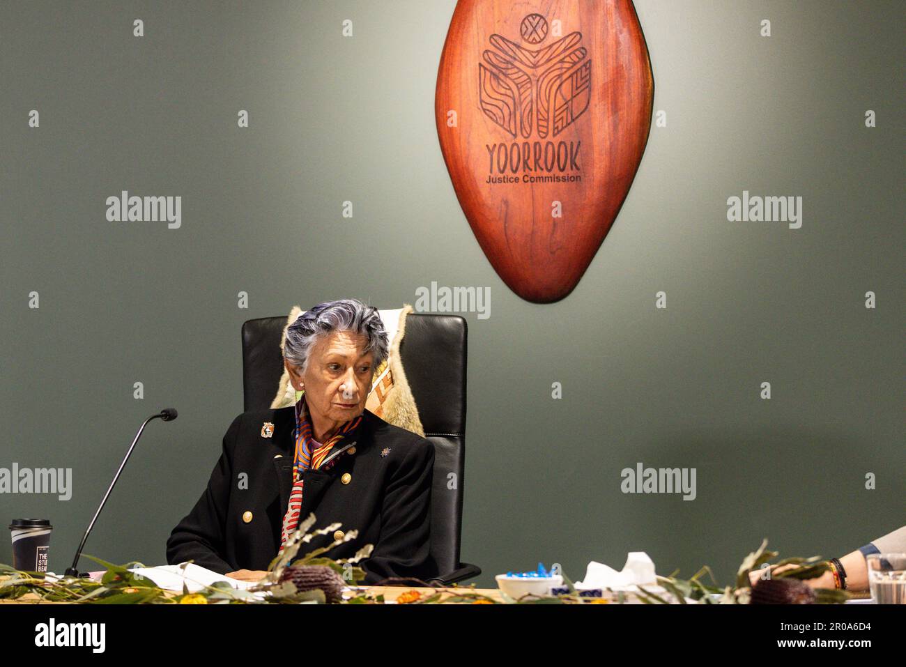 Chair Professor Eleanor Bourke speaks during a public hearing of the ...