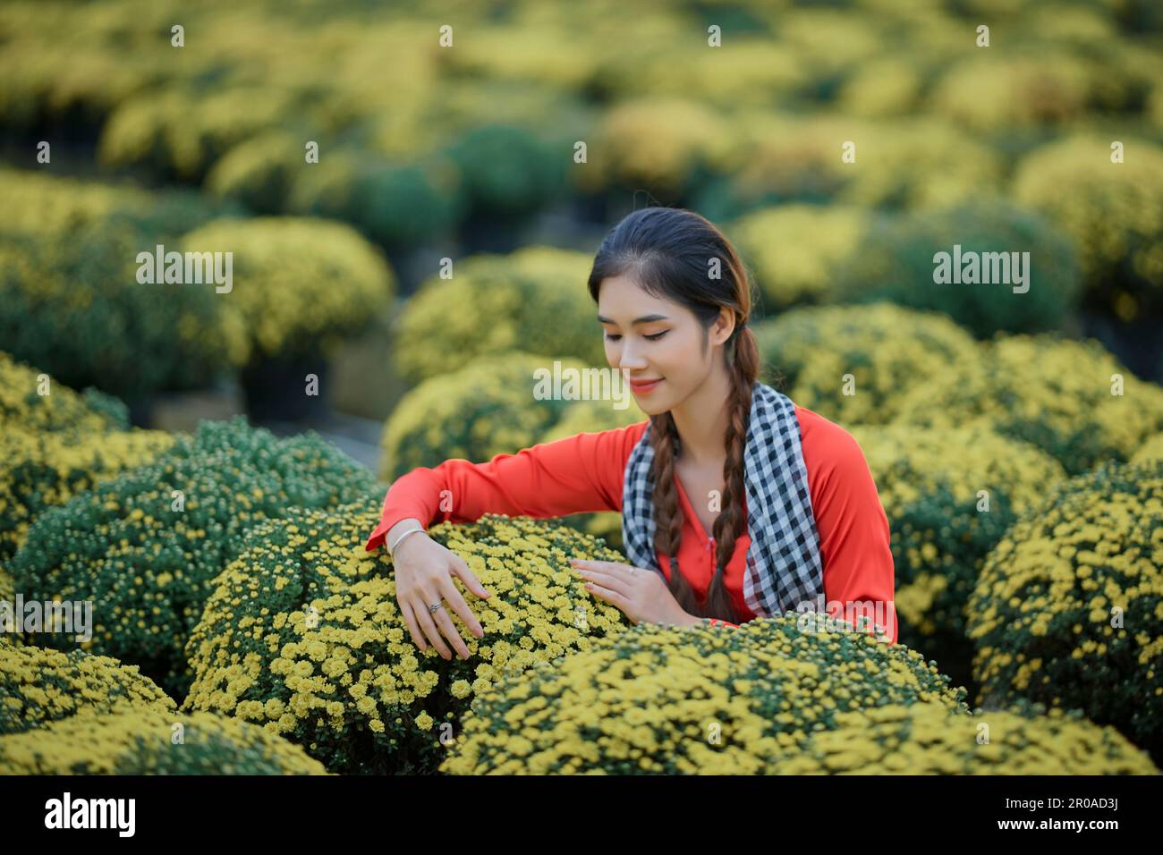 January 8, 2023: portrait of a beautiful Vietnamese girl in the ...