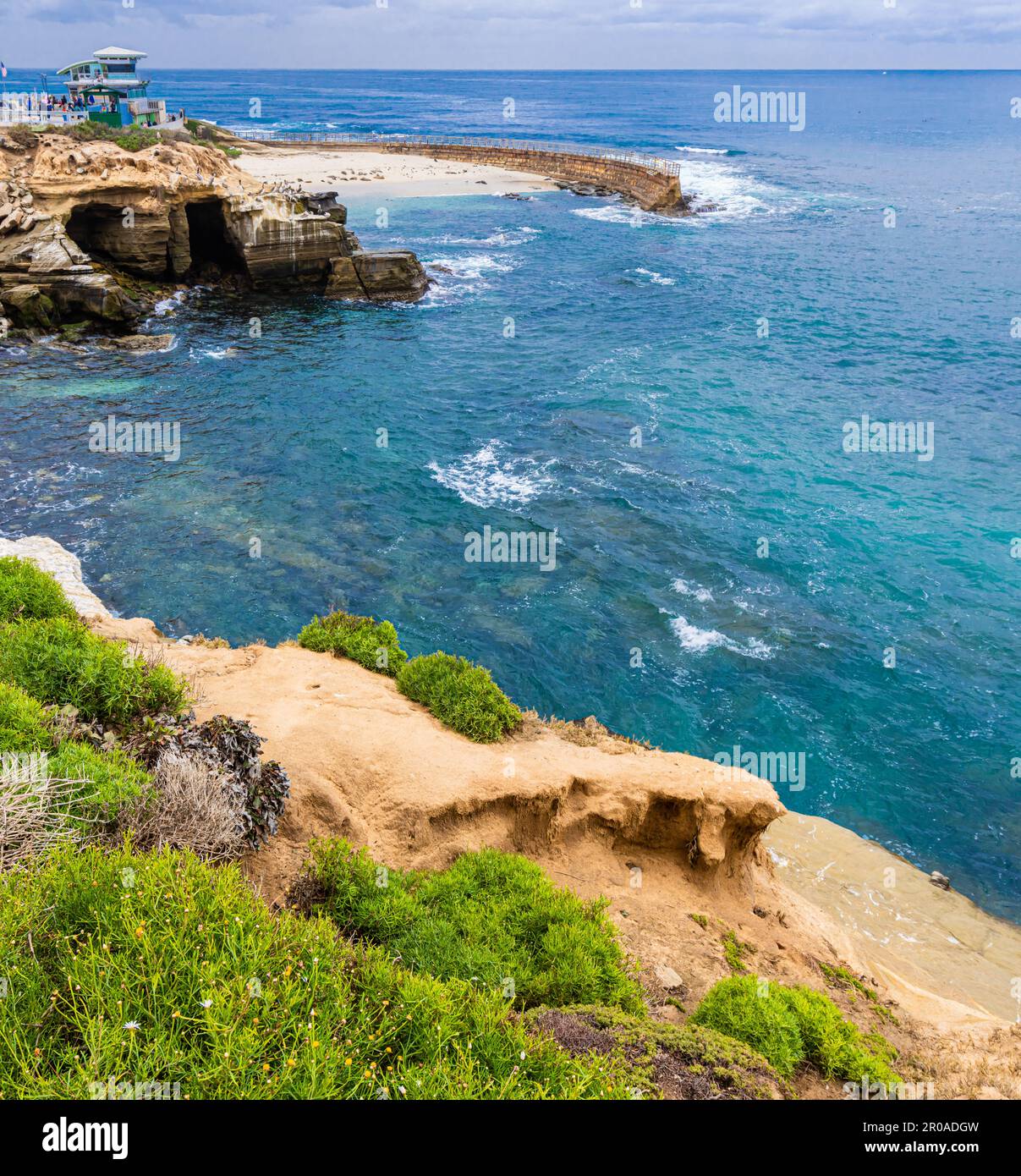 The Sandstone Bluffs of Shell Beach, Ellen Browning Scripps Park, La ...