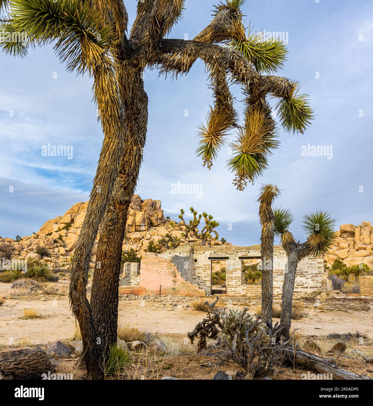 The Remains of The Wonderland Ranch, Joshua Tree National Park ...