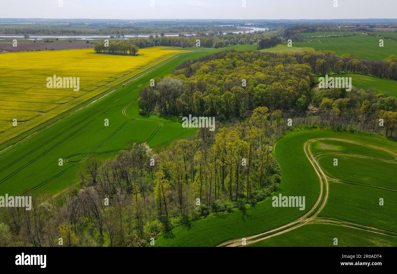 Klessin, Germany. 05th May, 2023. Spring in the Oderbruch (aerial ...