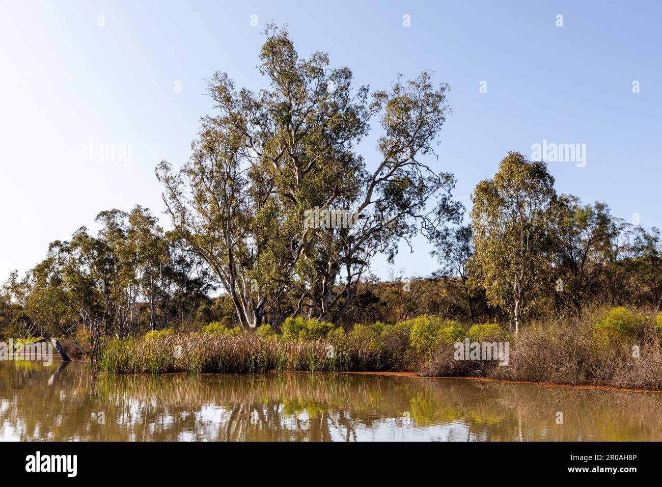 Murray River, a large river system in Australia adjoining New South ...
