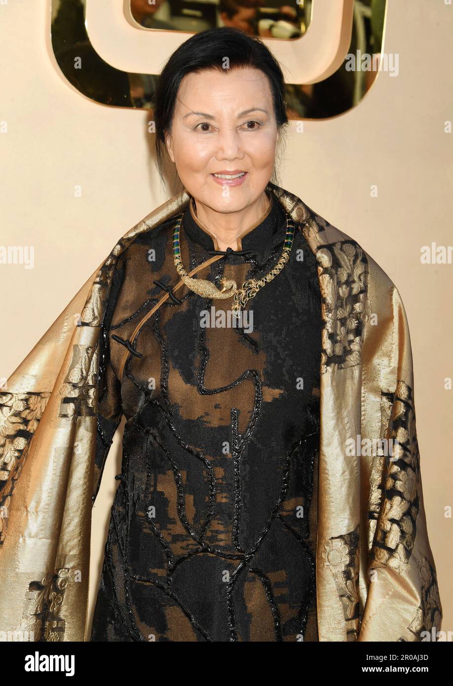 LOS ANGELES, CALIFORNIA - MAY 06: Kieu Chinh attends Gold House's 2nd ...