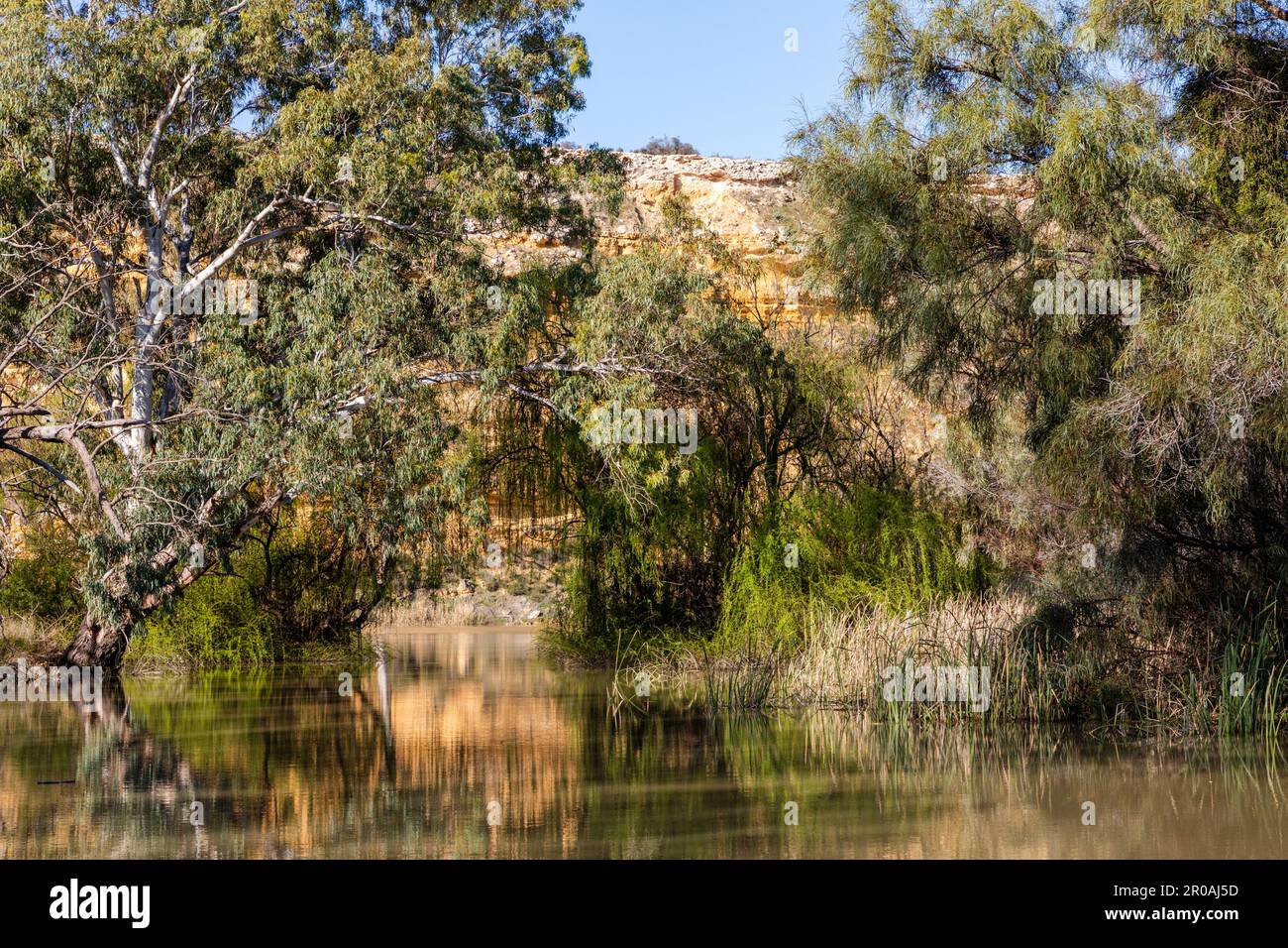 Murray River, a large river system in Australia adjoining New South ...