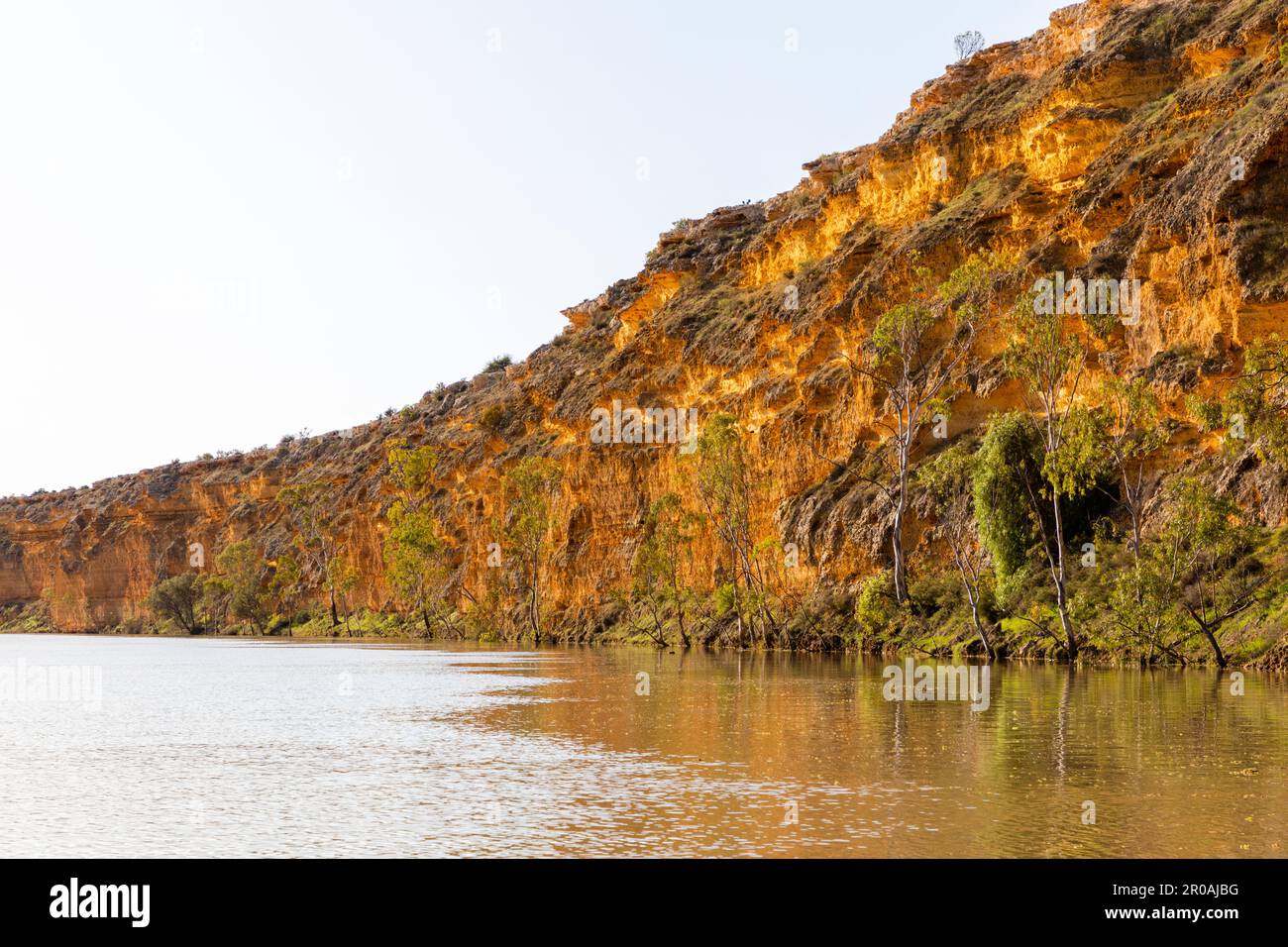 Murray River, a large river system in Australia adjoining New South ...