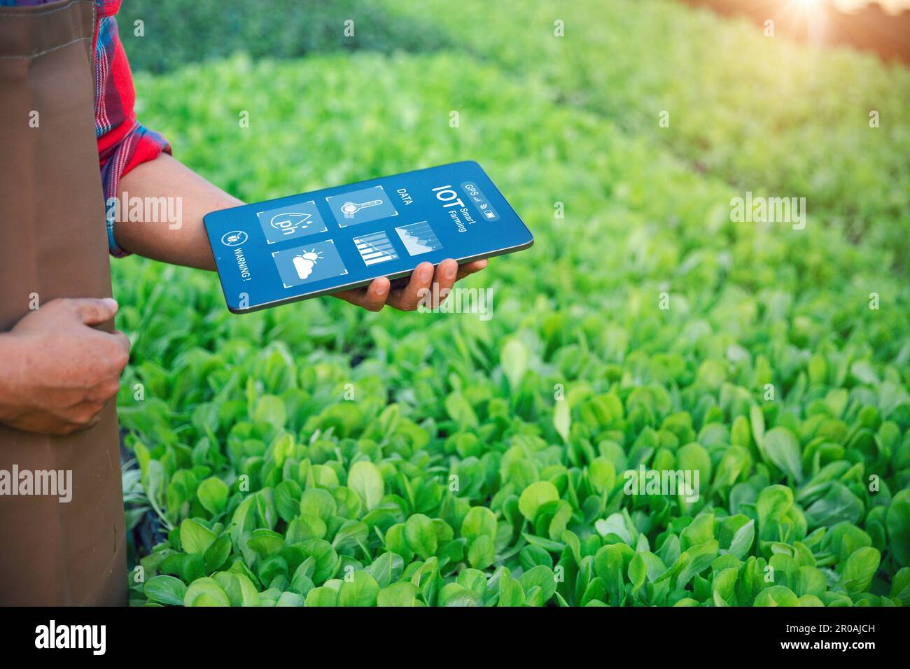 IoT, Internet of Things Modern agriculture smart farming system concept ...