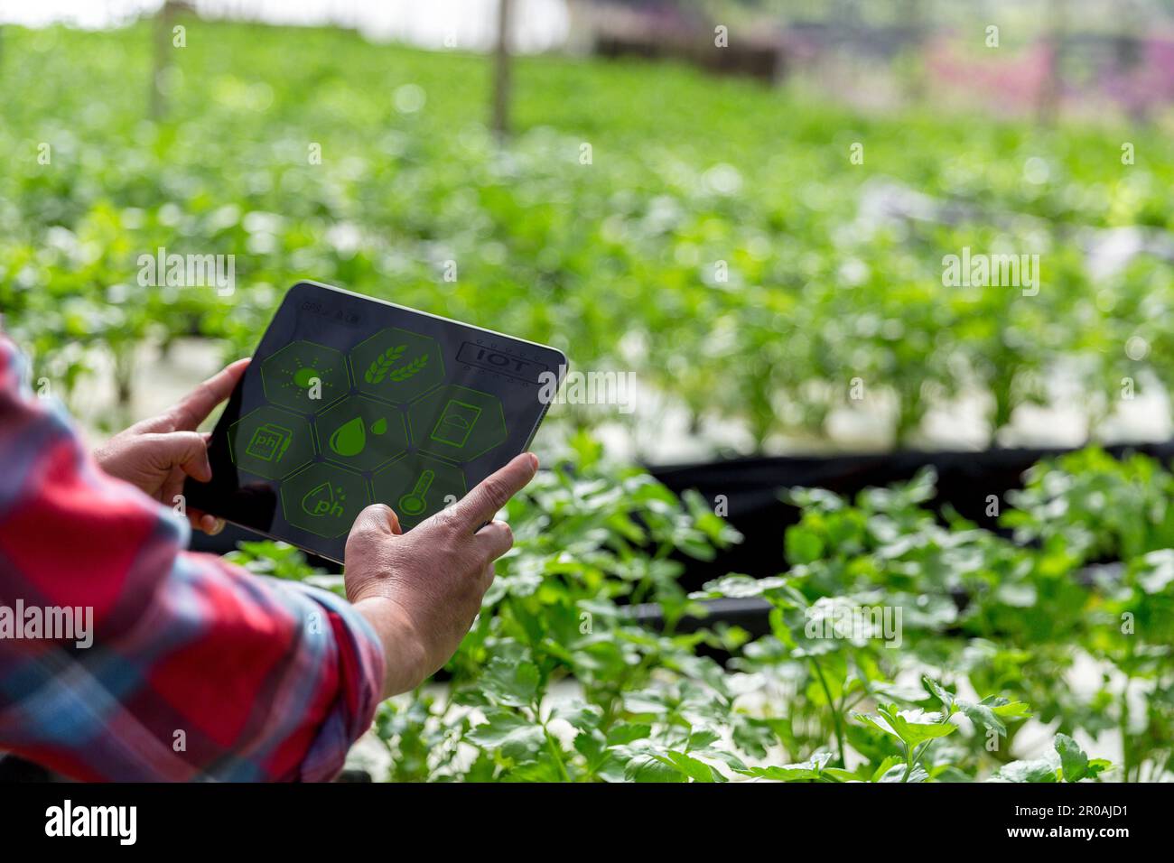 IoT, Internet of Things Modern agriculture smart farming system concept ...