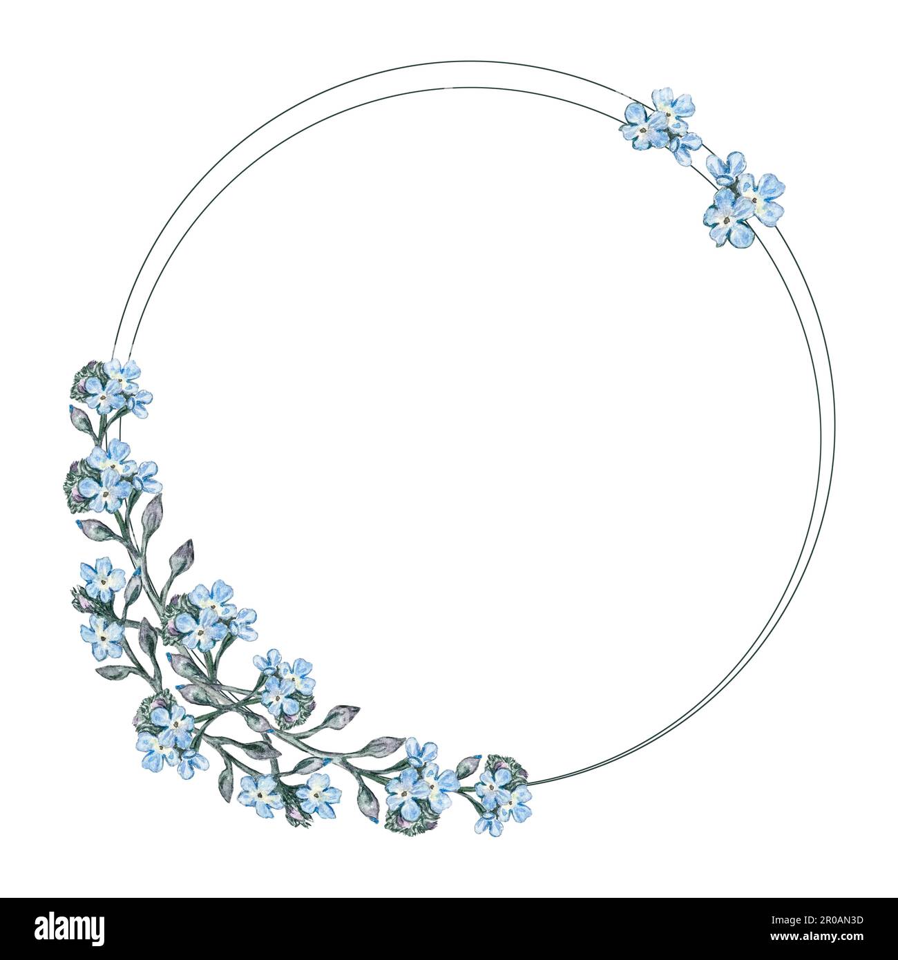 Frame of wild flowers. Forget me not. Watercolor illustration Stock ...