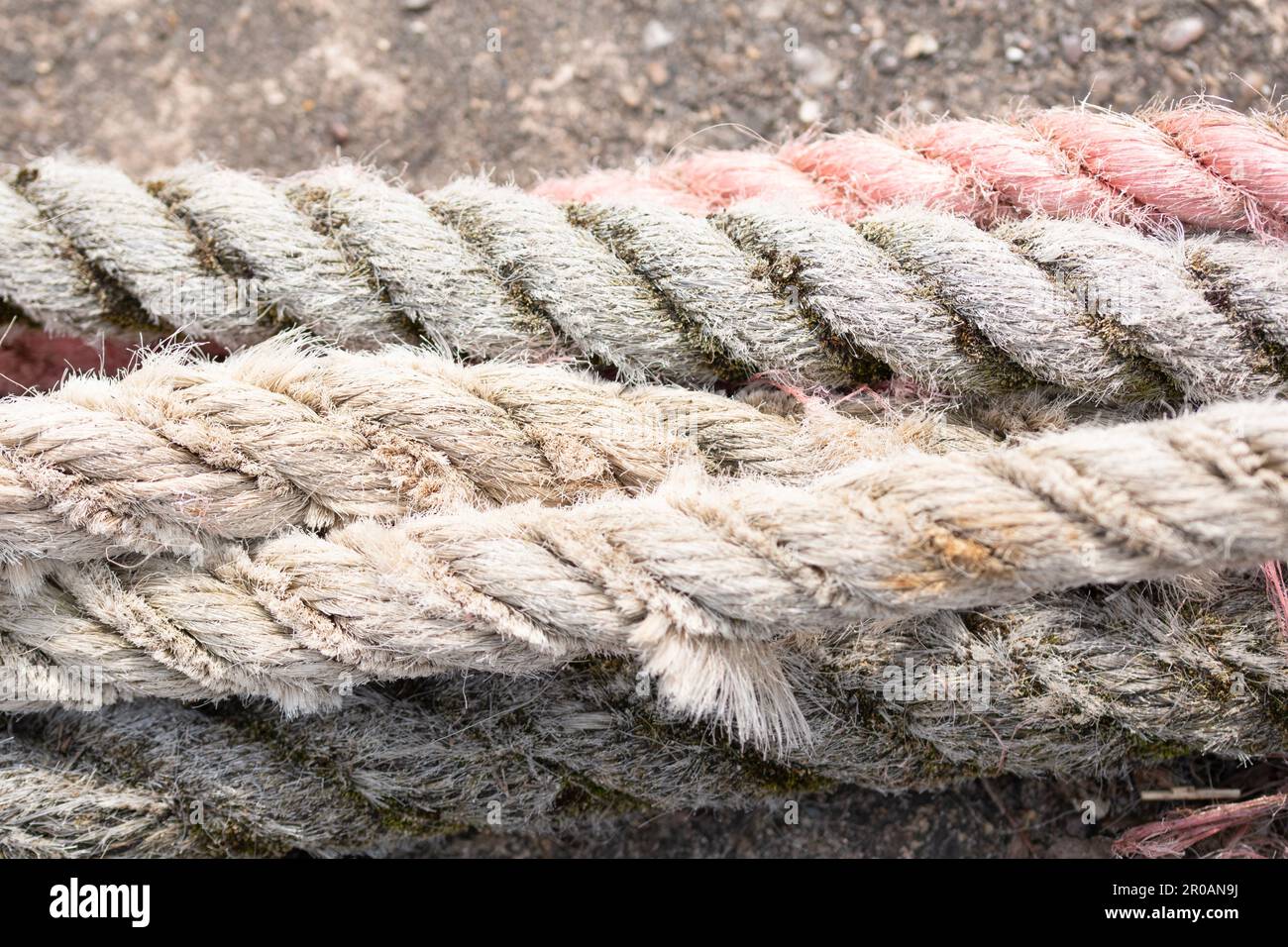 Old weathered lengths of rope, macro photography Stock Photo - Alamy