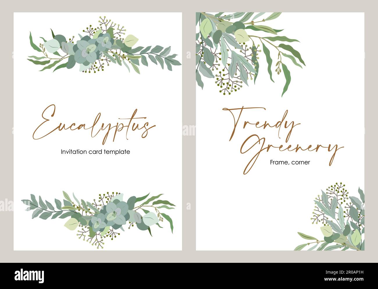Eucalyptus leaves and branches cards art vector Stock Vector Image ...