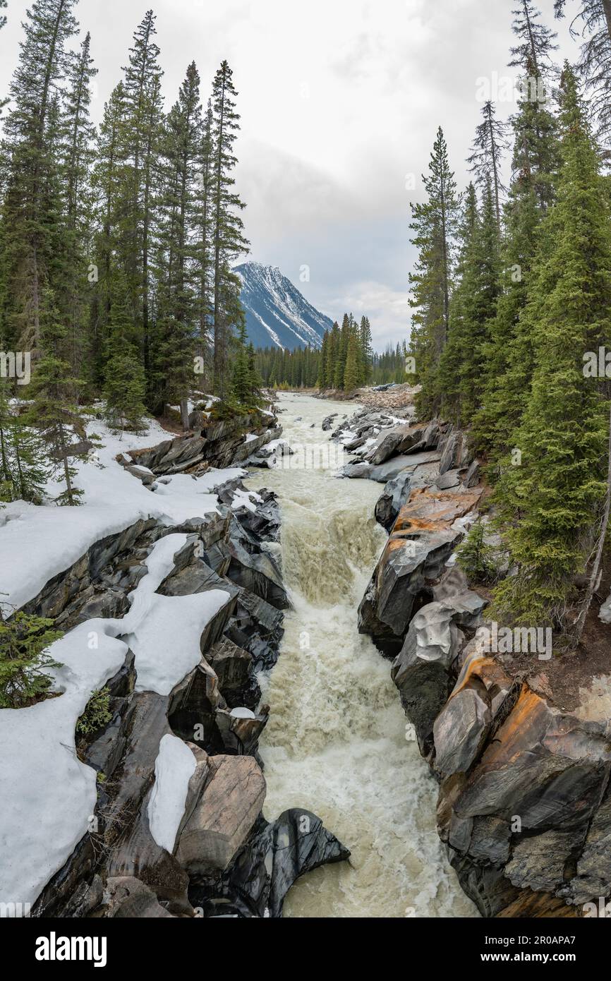 Numa Falls in spring time near Banff National Park with beautiful ...