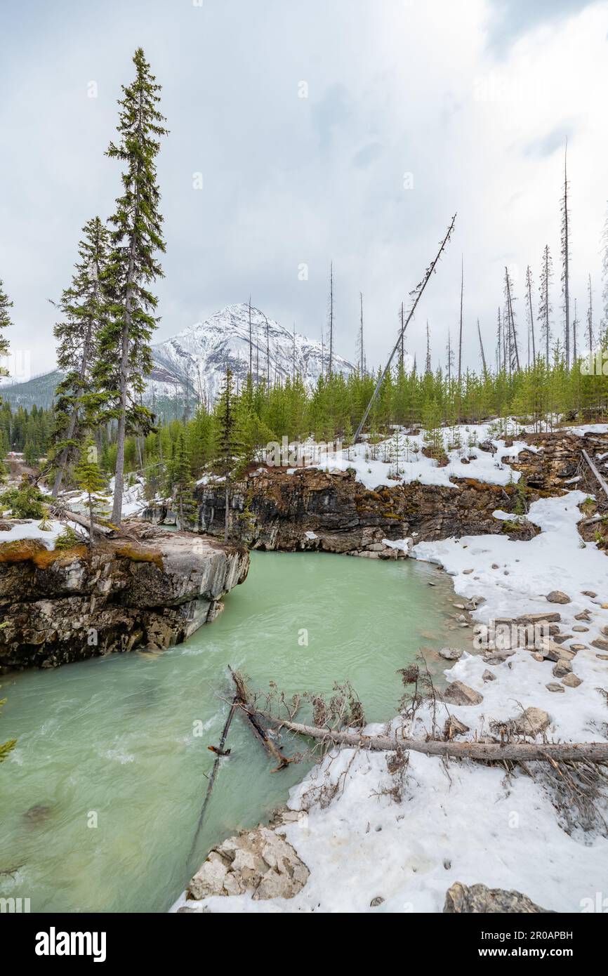 Marble Canyon near Banff National park during the spring time with snow ...