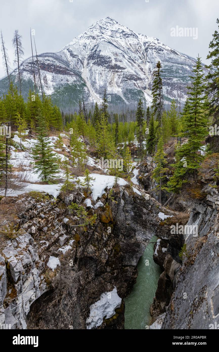 Marble Canyon near Banff National park during the spring time with snow ...