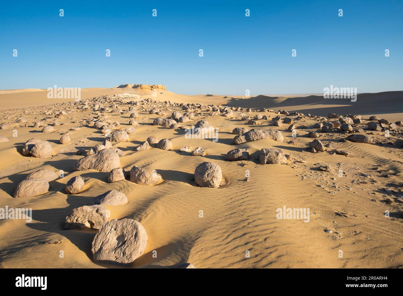 Landscape scenic view of desolate barren western desert in Egypt with ...