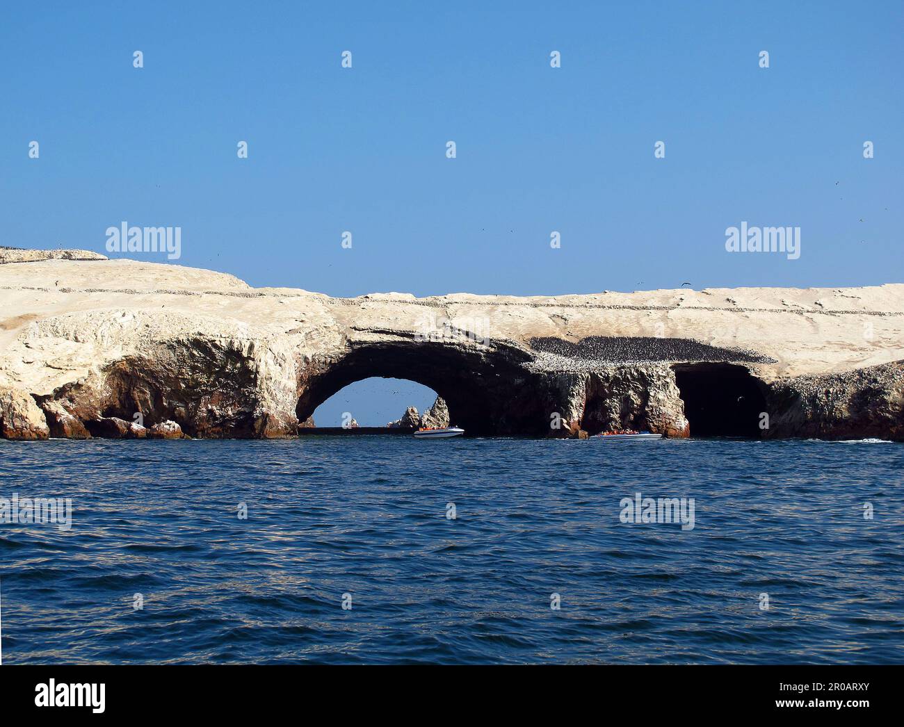 Rocks with animals in the Pacific ocean close Paracas, Peru Stock Photo ...