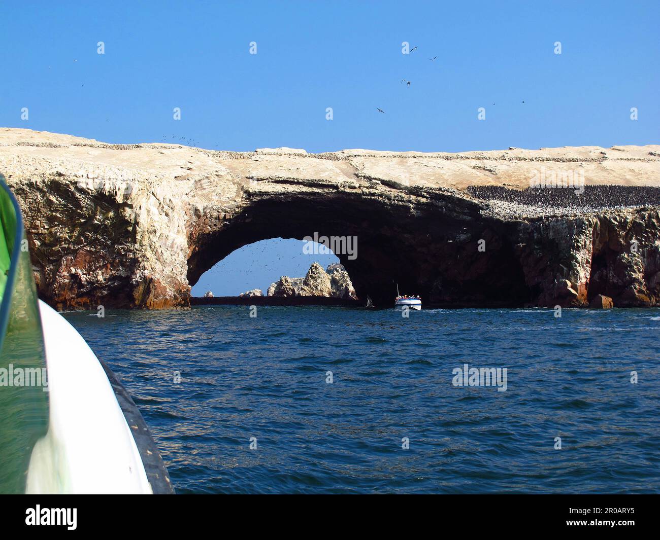 Rocks with animals in the Pacific ocean close Paracas, Peru Stock Photo ...