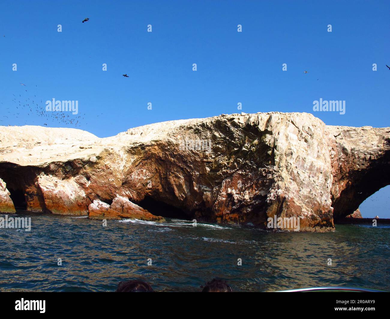 Rocks with animals in the Pacific ocean close Paracas, Peru Stock Photo ...