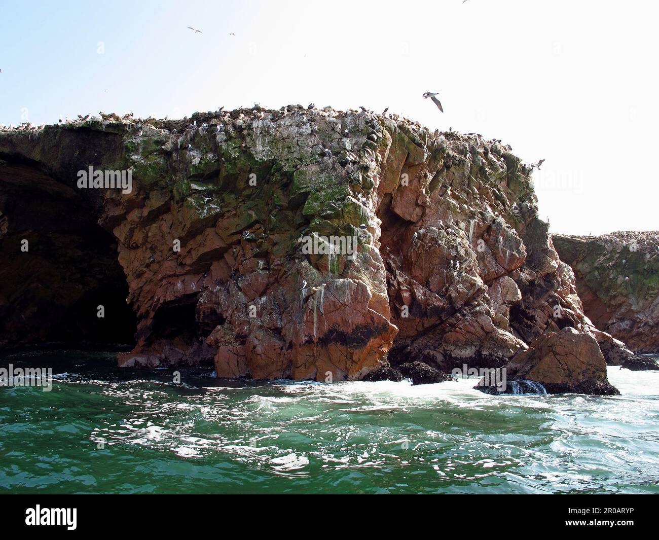 Rocks with animals in the Pacific ocean close Paracas, Peru Stock Photo ...