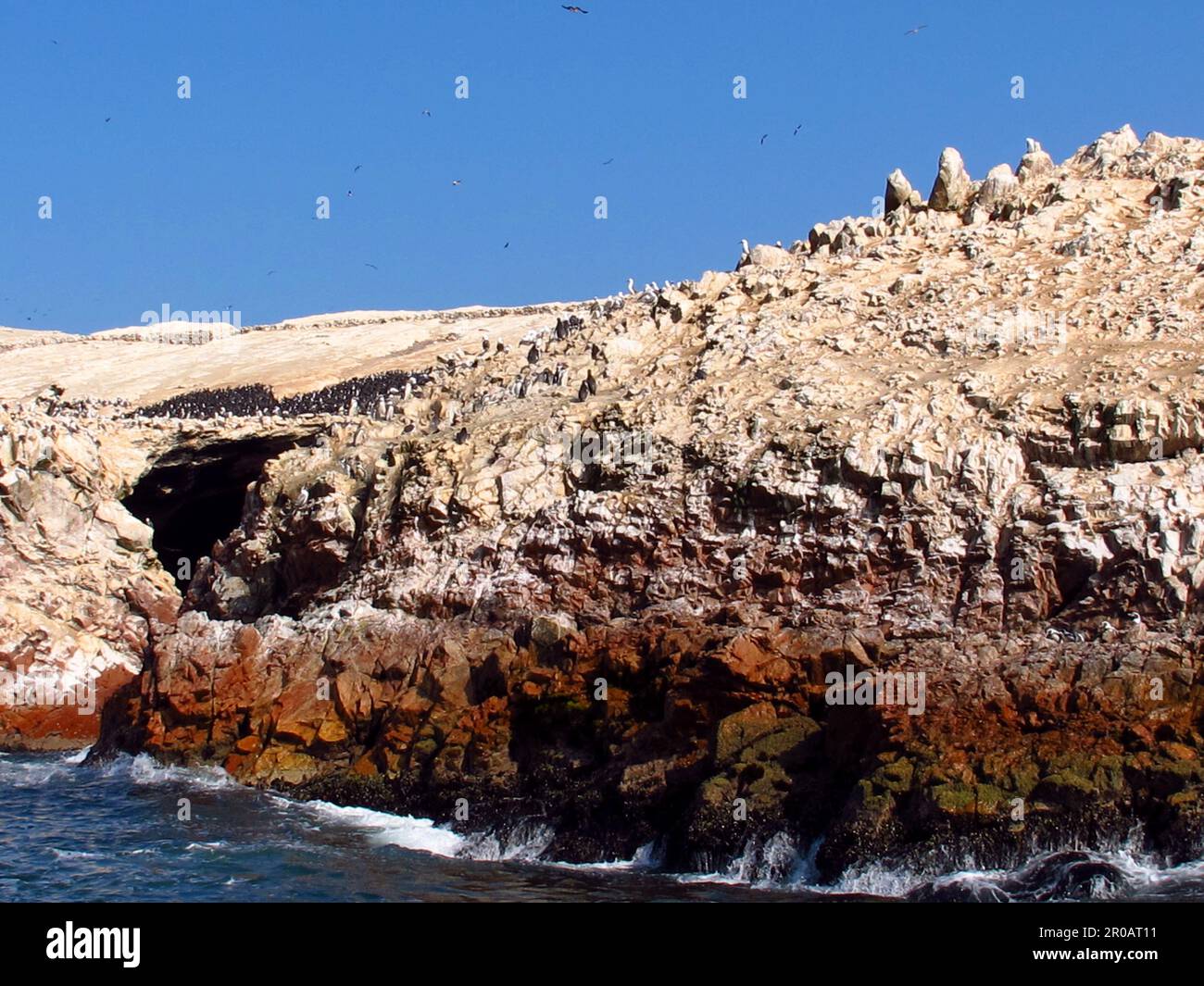 Rocks with animals in the Pacific ocean close Paracas, Peru Stock Photo ...