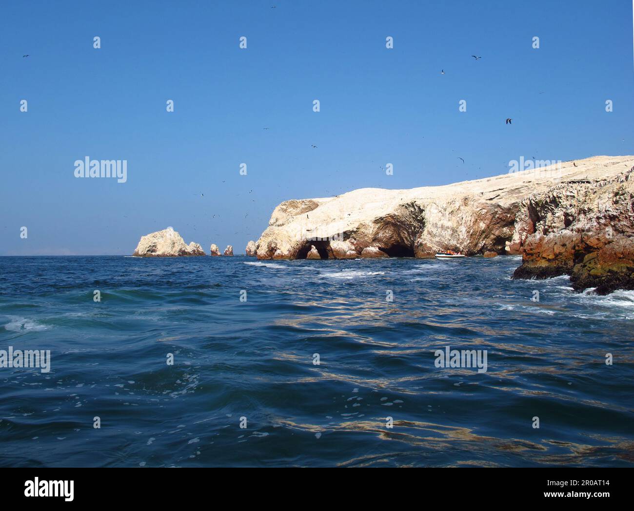 Rocks with animals in the Pacific ocean close Paracas, Peru Stock Photo ...