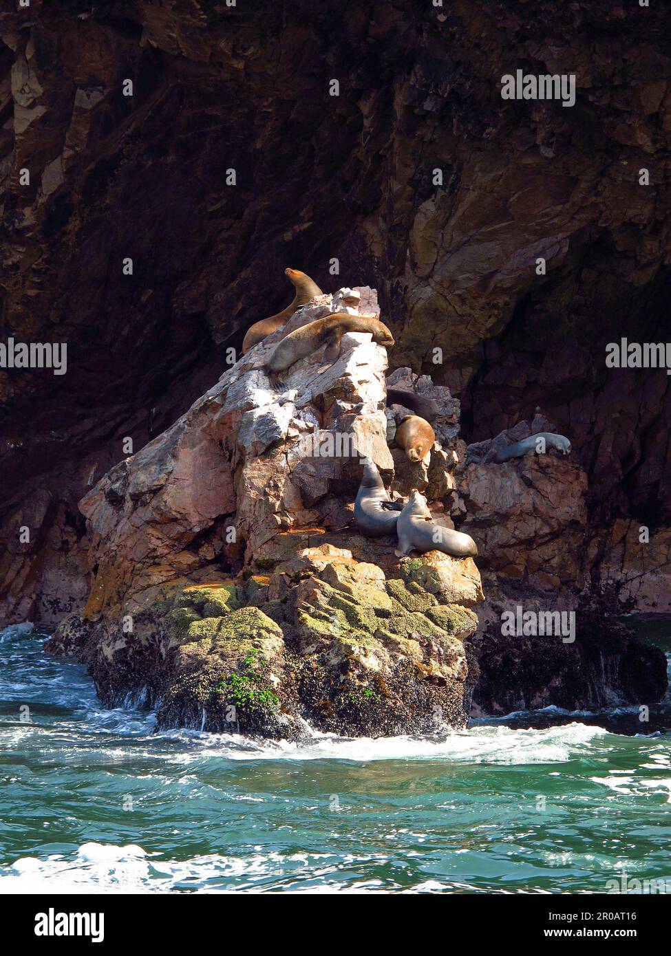 Rocks with animals in the Pacific ocean close Paracas, Peru Stock Photo ...