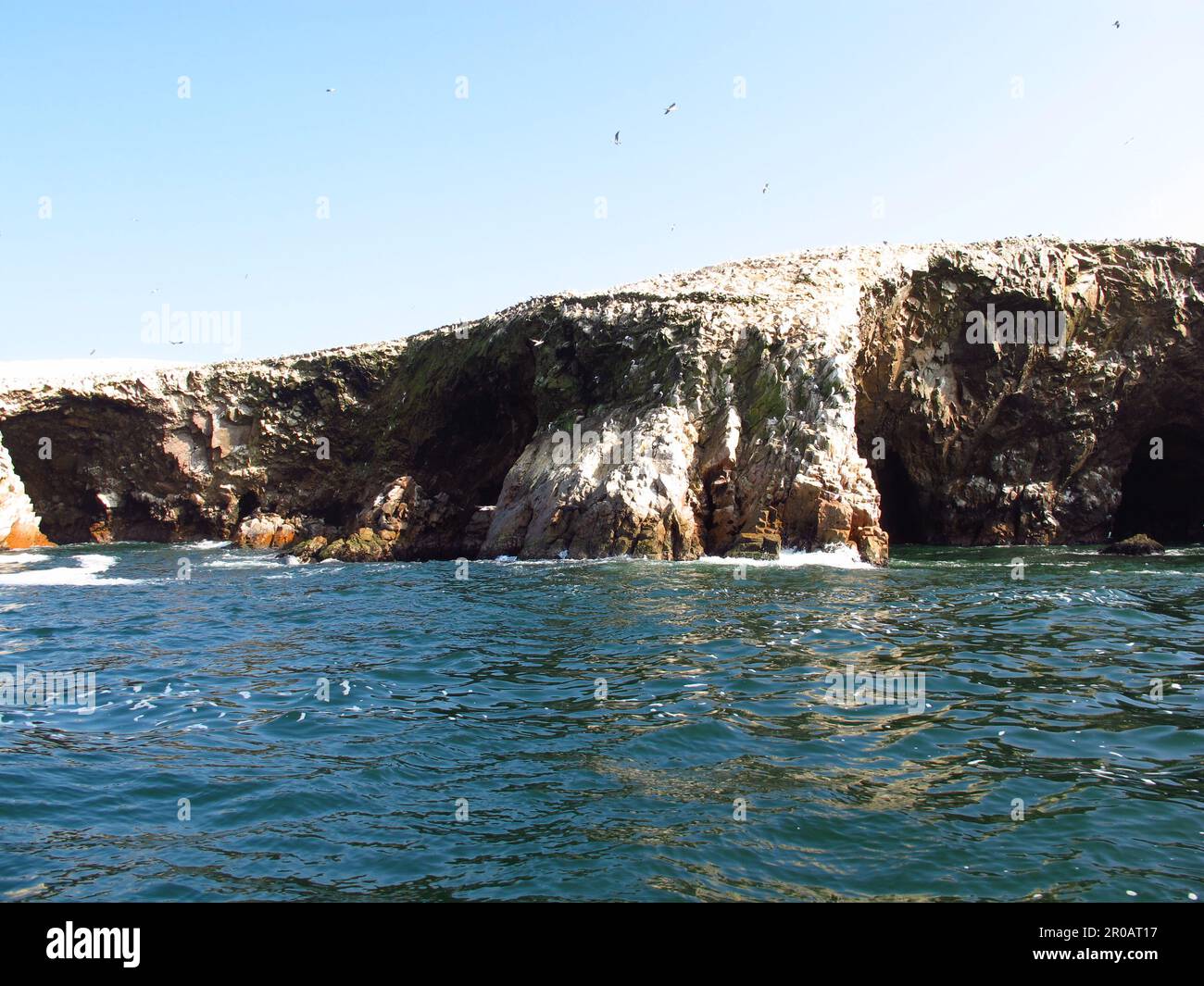 Rocks with animals in the Pacific ocean close Paracas, Peru Stock Photo ...