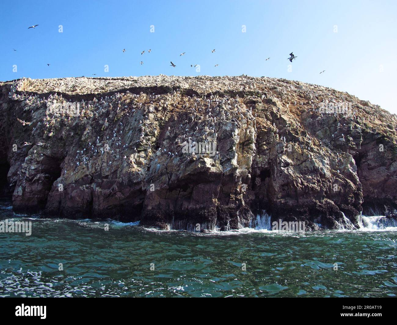 Rocks with animals in the Pacific ocean close Paracas, Peru Stock Photo ...