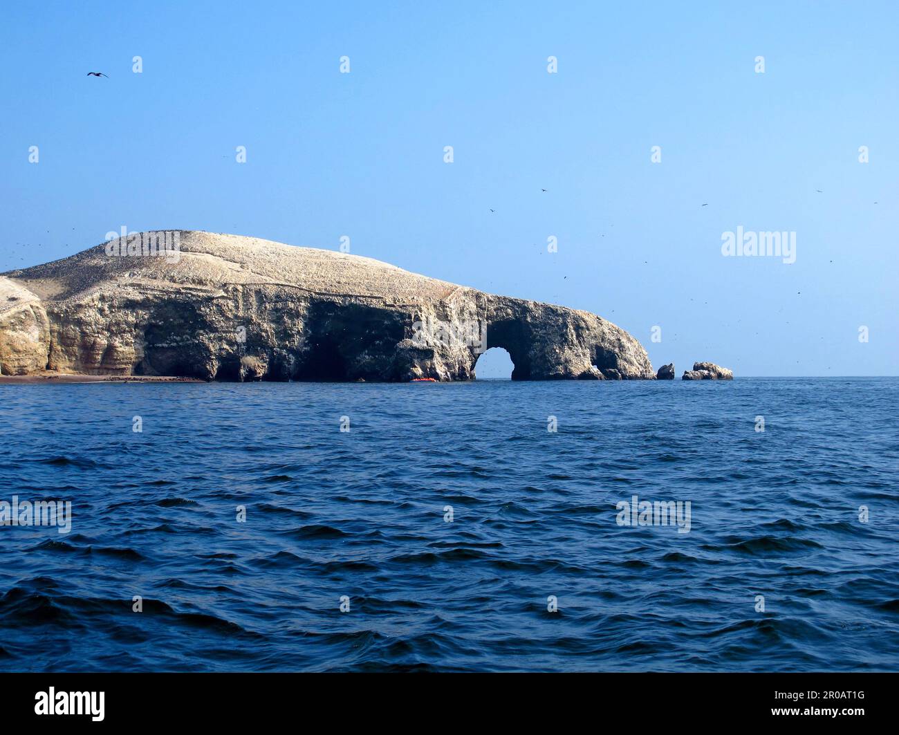 Rocks with animals in the Pacific ocean close Paracas, Peru Stock Photo ...