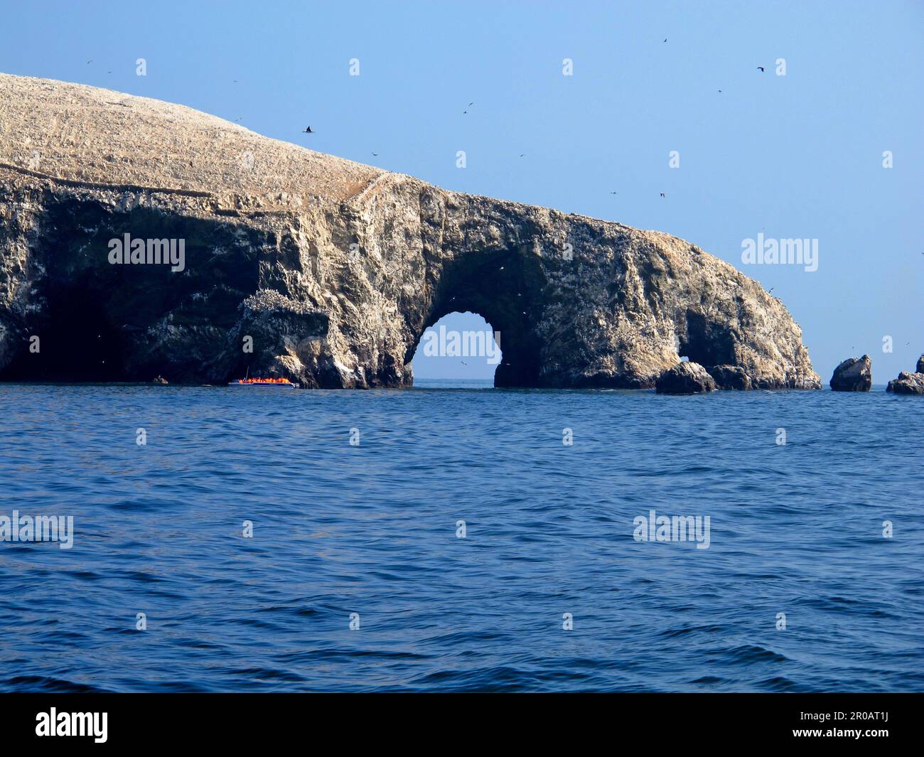 Rocks with animals in the Pacific ocean close Paracas, Peru Stock Photo ...
