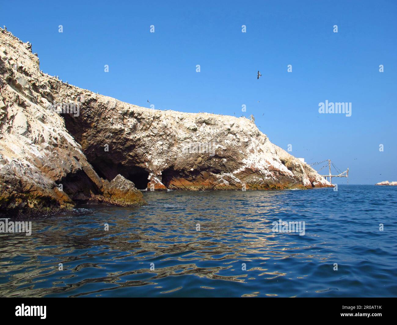 Rocks with animals in the Pacific ocean close Paracas, Peru Stock Photo ...