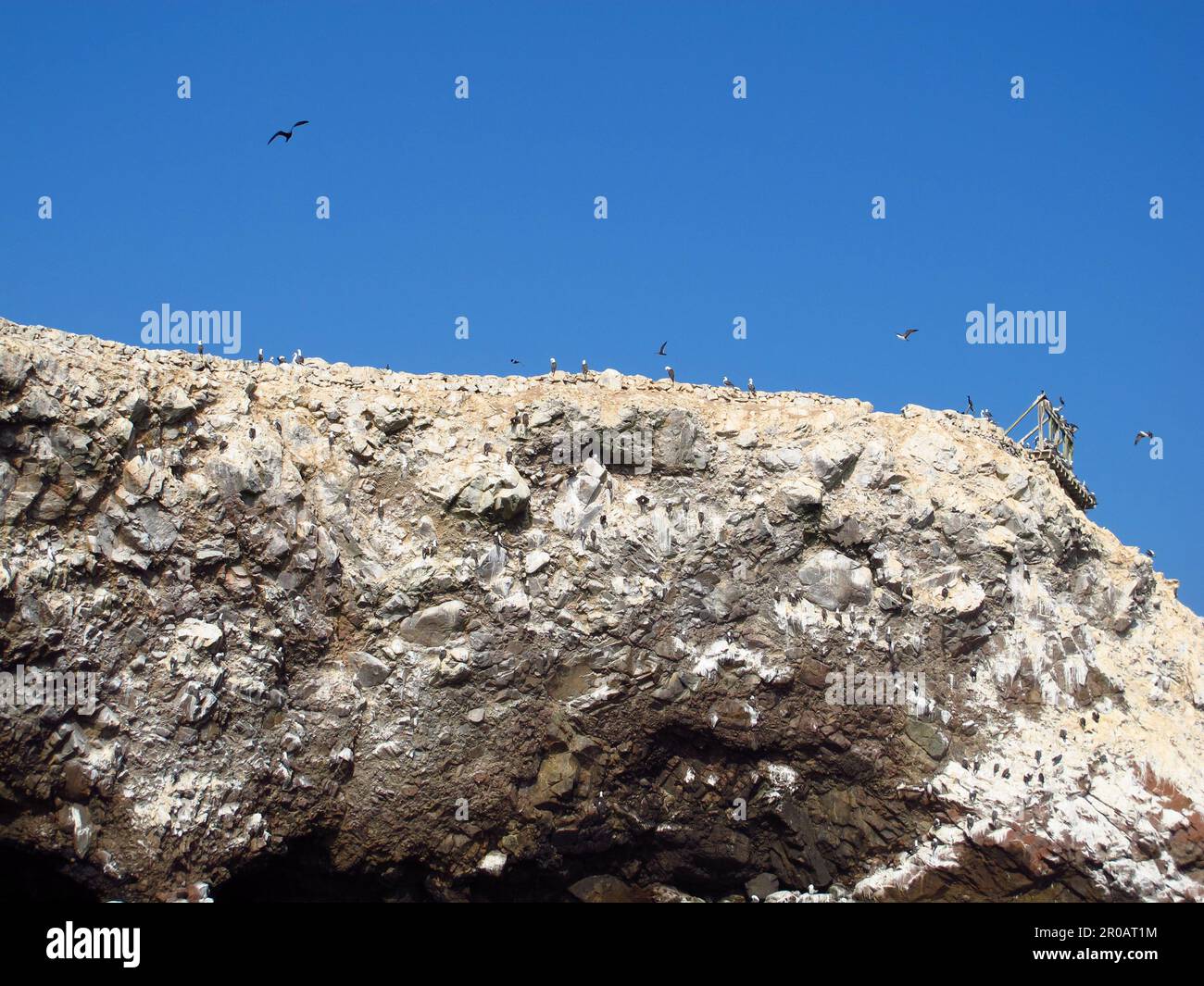 Rocks with animals in the Pacific ocean close Paracas, Peru Stock Photo ...