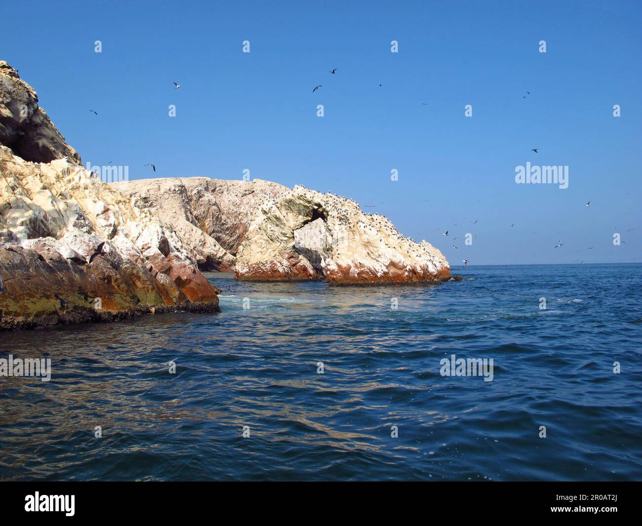 Rocks with animals in the Pacific ocean close Paracas, Peru Stock Photo ...
