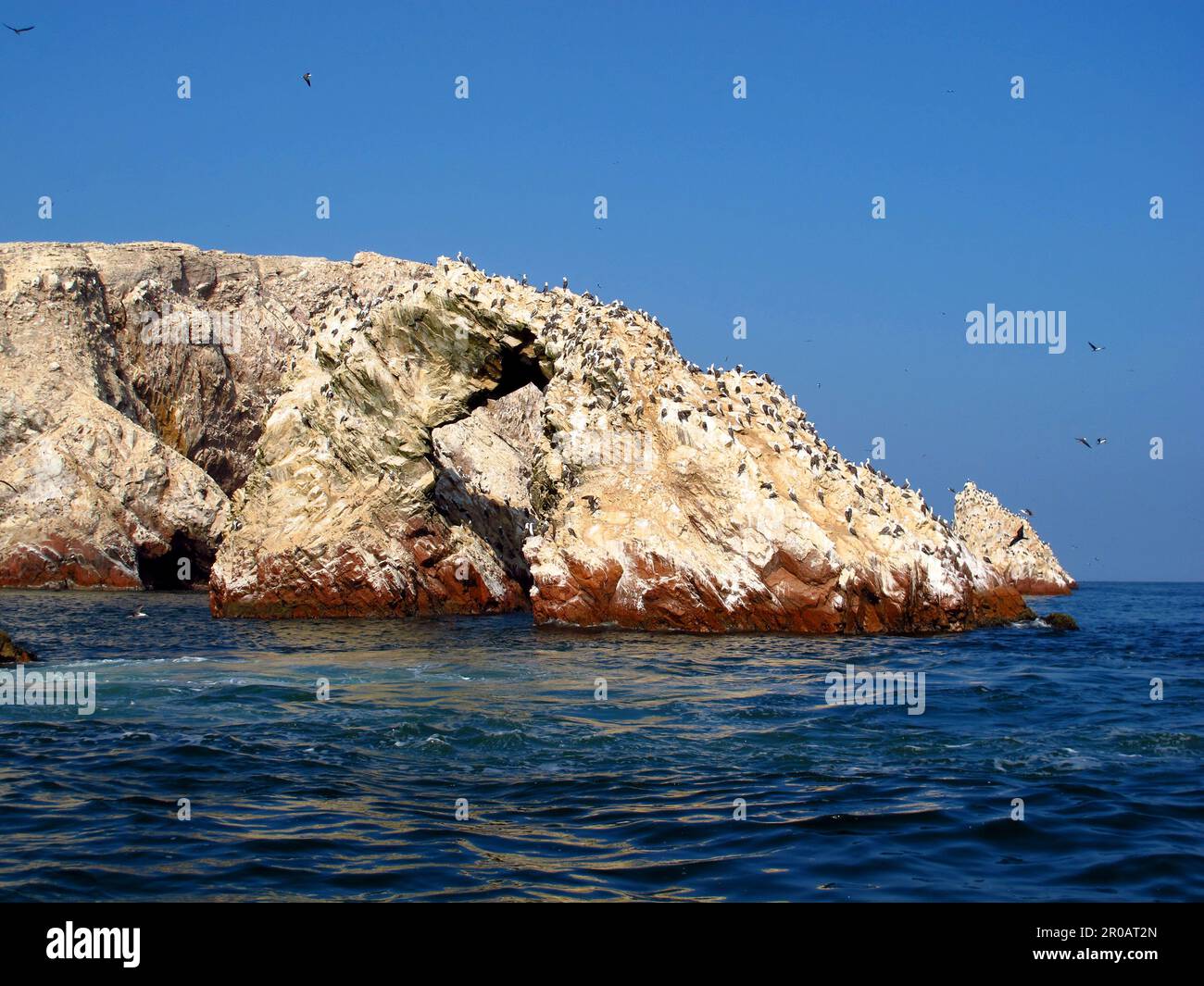 Rocks with animals in the Pacific ocean close Paracas, Peru Stock Photo ...
