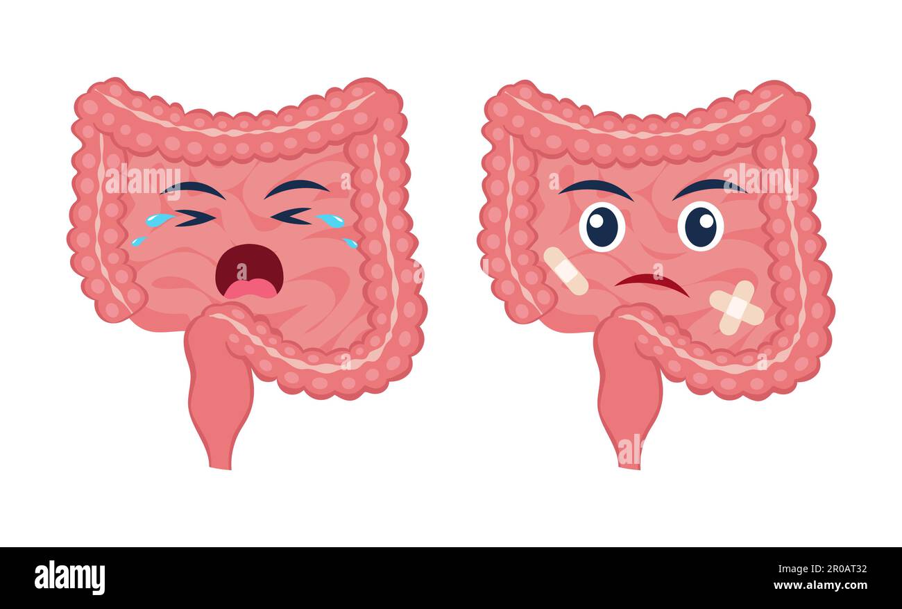 Large Intestine Cartoon