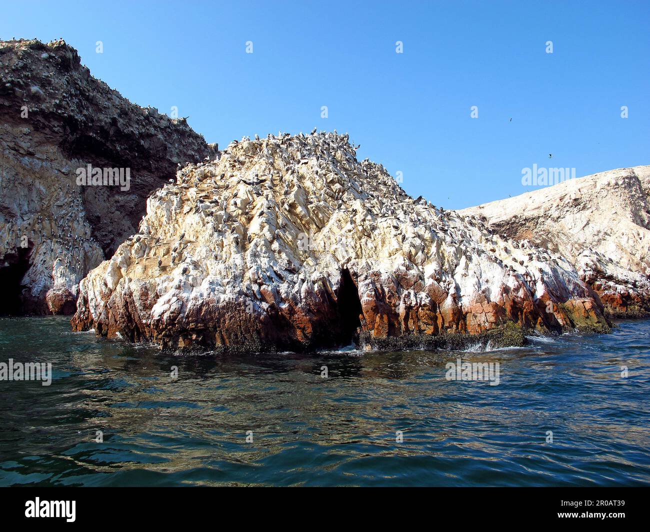 Rocks with animals in the Pacific ocean close Paracas, Peru Stock Photo ...