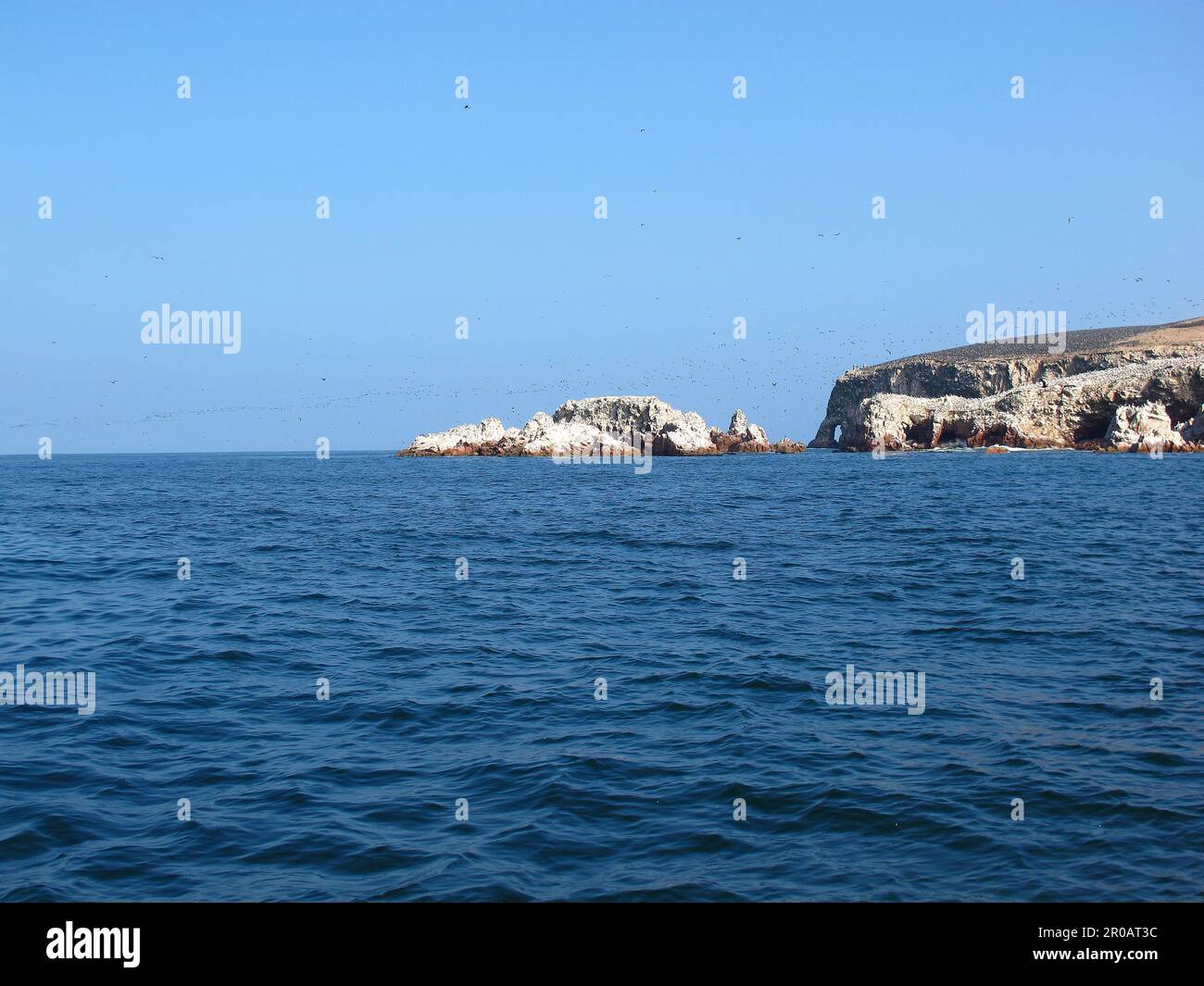 Rocks with animals in the Pacific ocean close Paracas, Peru Stock Photo ...