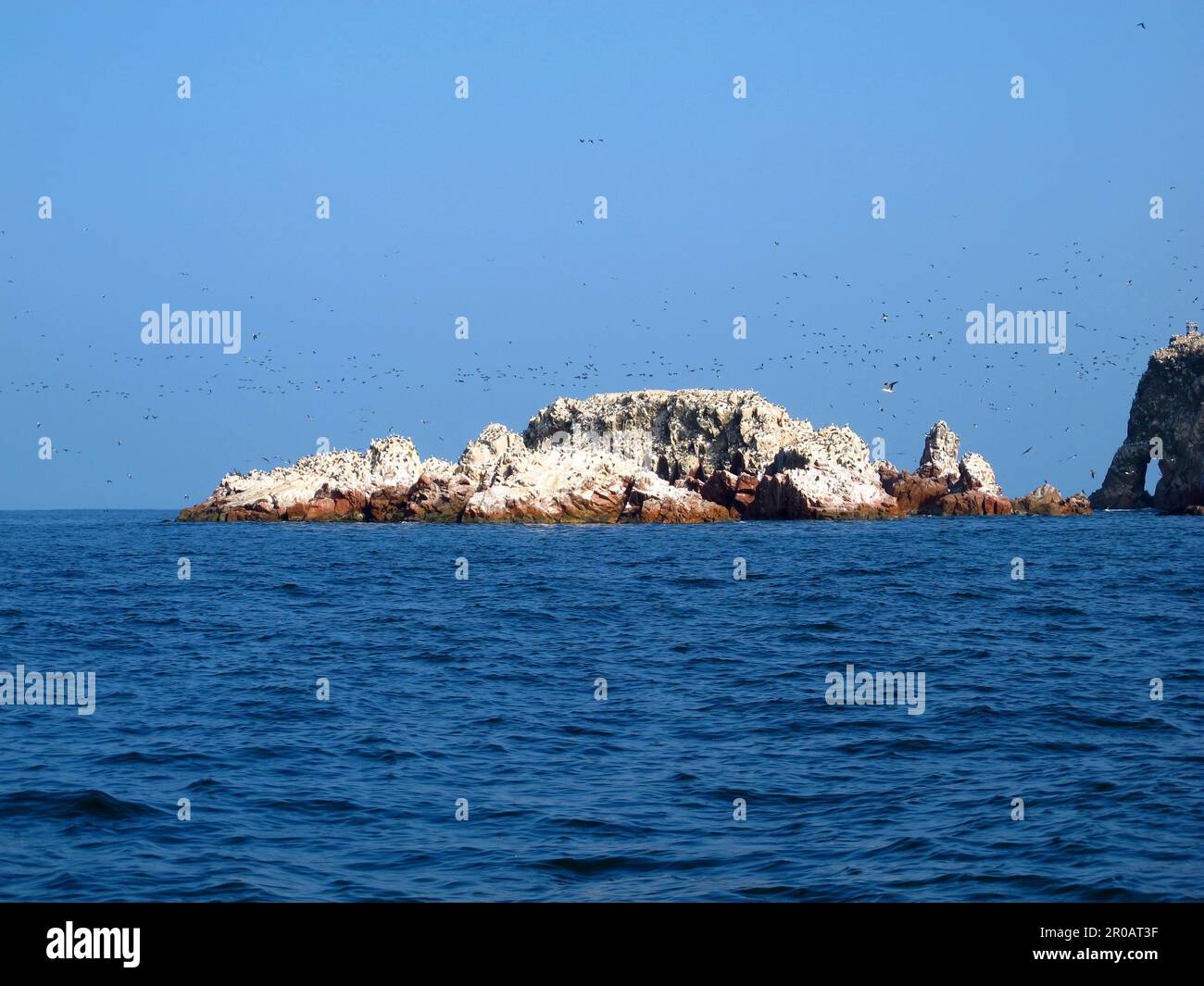 Rocks with animals in the Pacific ocean close Paracas, Peru Stock Photo ...