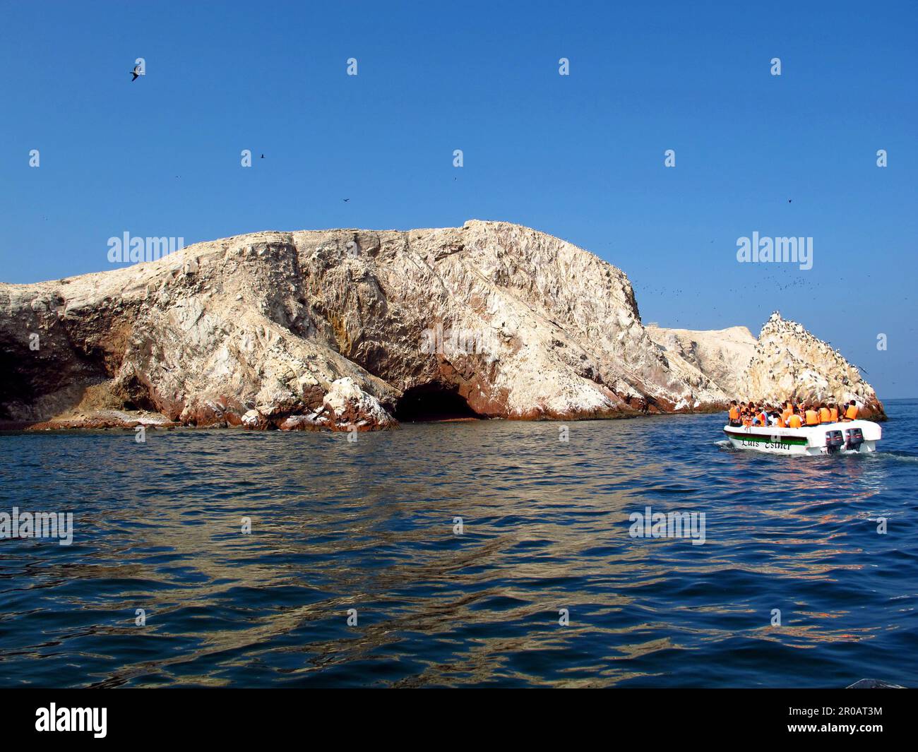 Rocks with animals in the Pacific ocean close Paracas, Peru Stock Photo ...