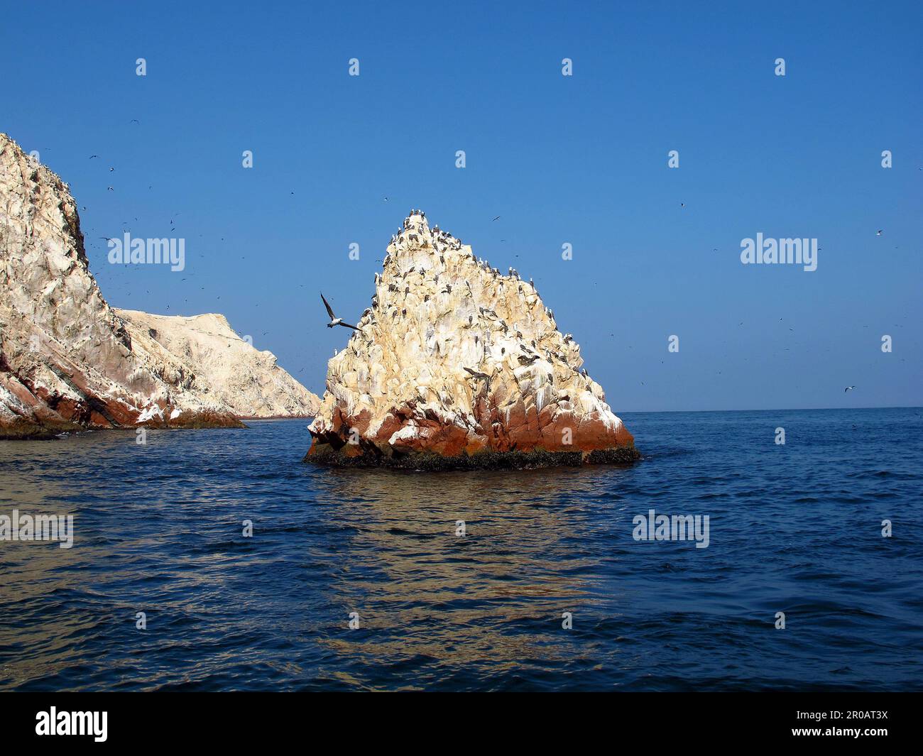 Rocks with animals in the Pacific ocean close Paracas, Peru Stock Photo ...