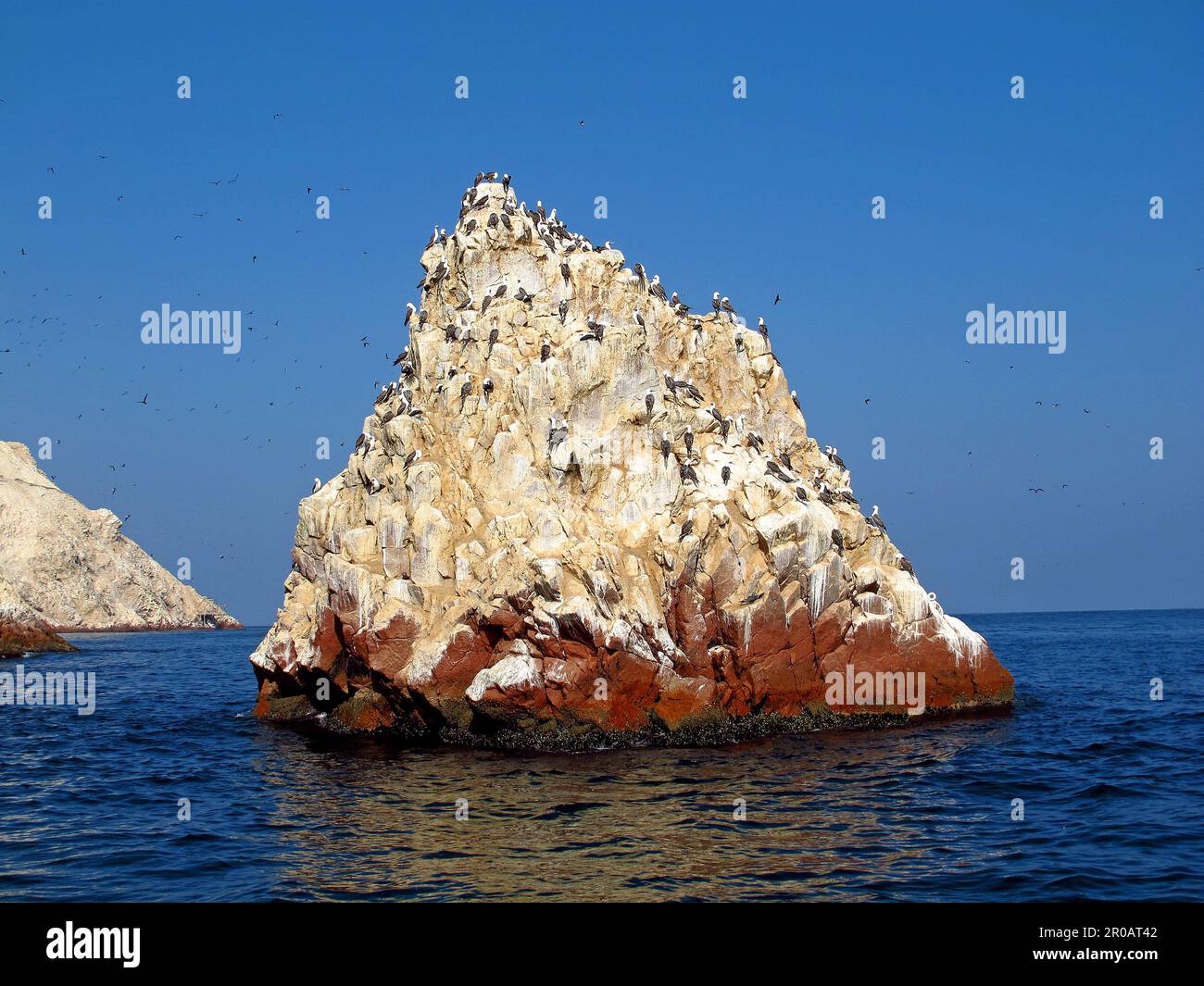 Rocks with animals in the Pacific ocean close Paracas, Peru Stock Photo ...