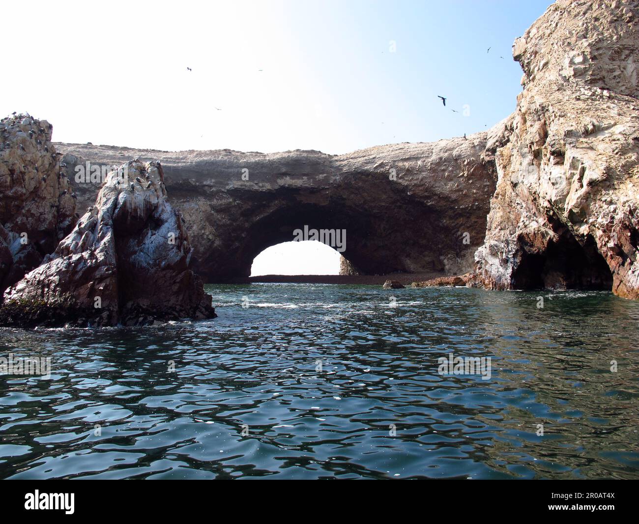 Rocks with animals in the Pacific ocean close Paracas, Peru Stock Photo ...