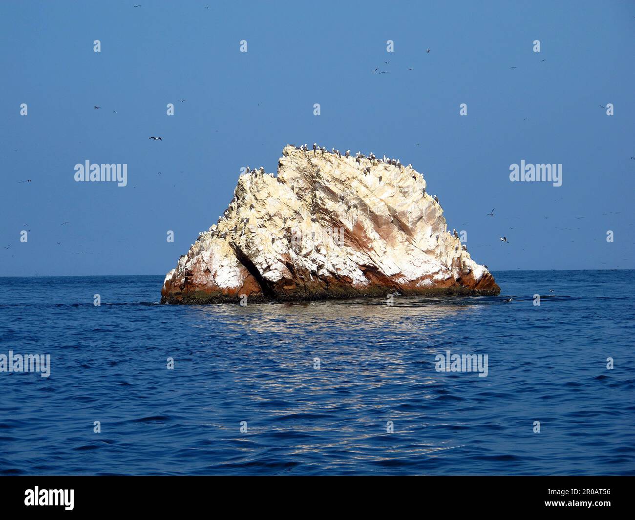 Rocks with animals in the Pacific ocean close Paracas, Peru Stock Photo ...
