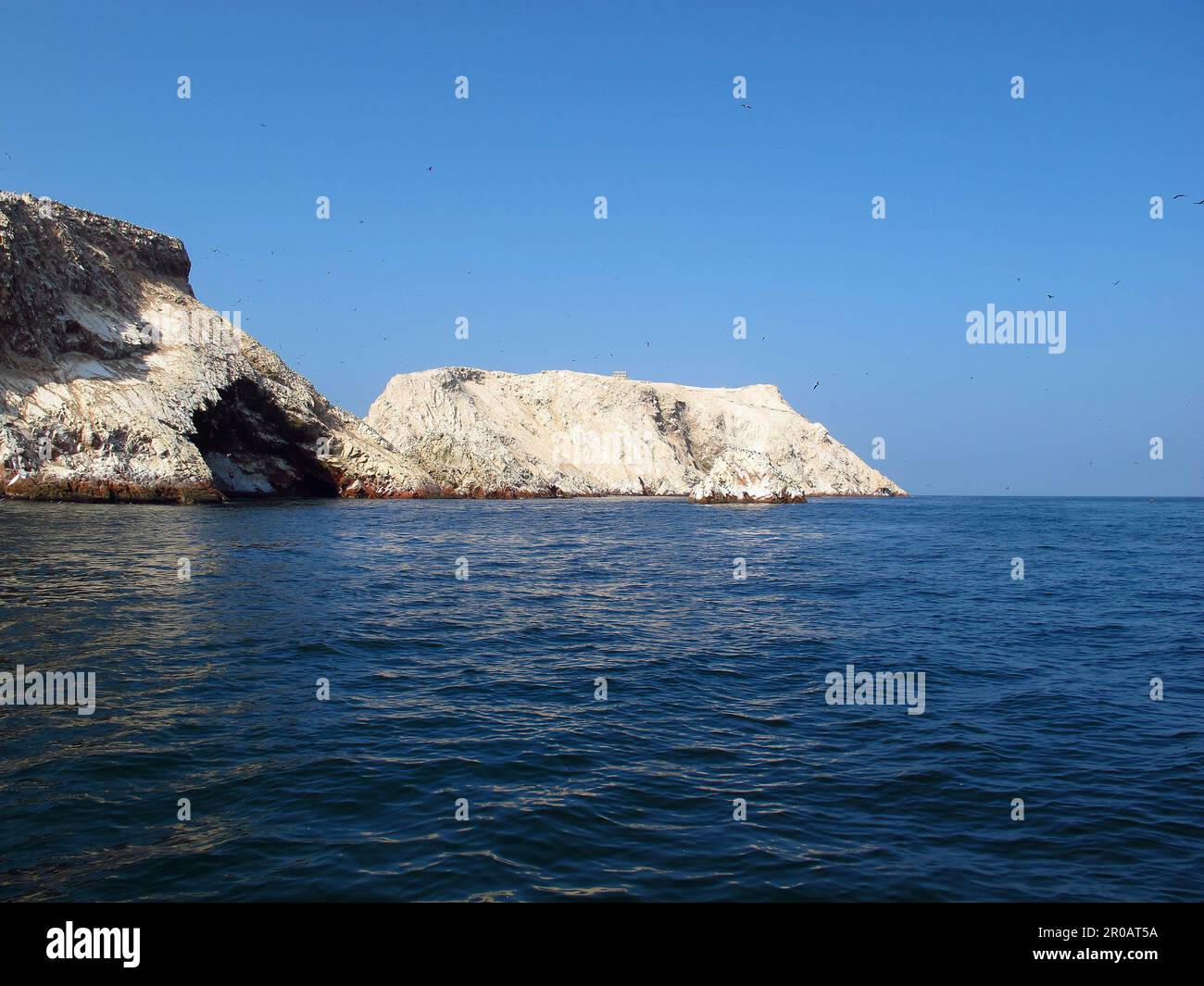 Rocks with animals in the Pacific ocean close Paracas, Peru Stock Photo ...