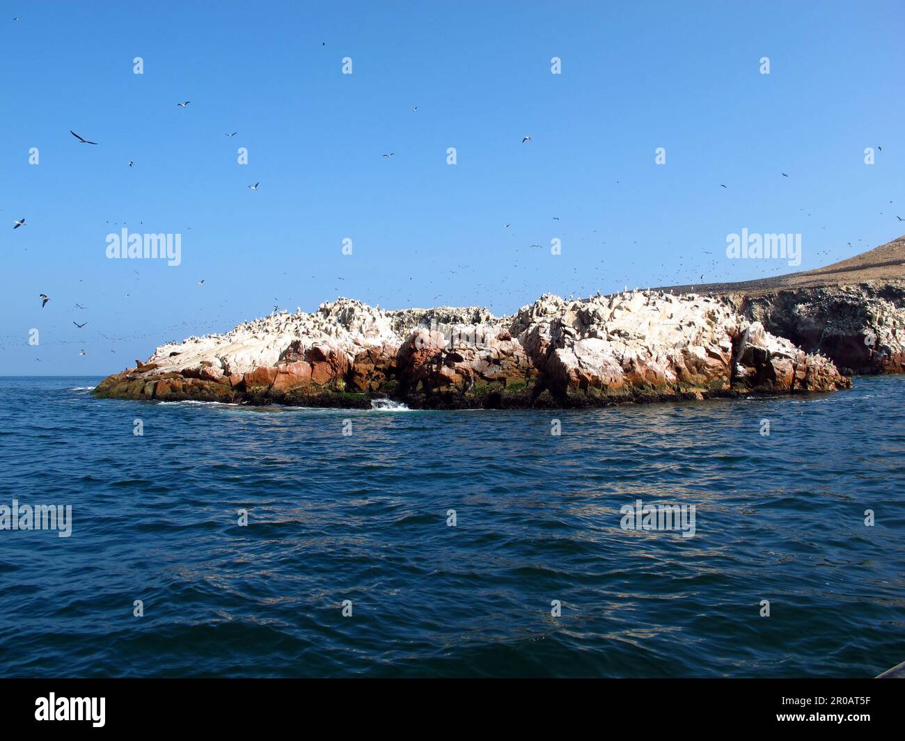 Rocks with animals in the Pacific ocean close Paracas, Peru Stock Photo ...