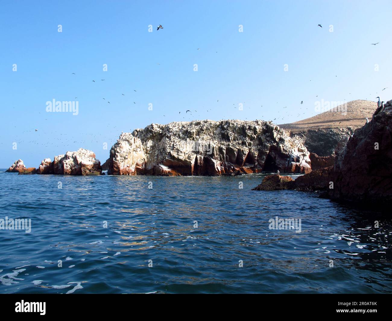 Rocks with animals in the Pacific ocean close Paracas, Peru Stock Photo ...