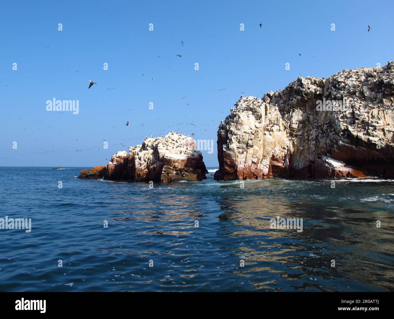 Rocks with animals in the Pacific ocean close Paracas, Peru Stock Photo ...
